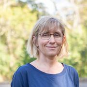 Sapin, épicéa, pin : quelles différences